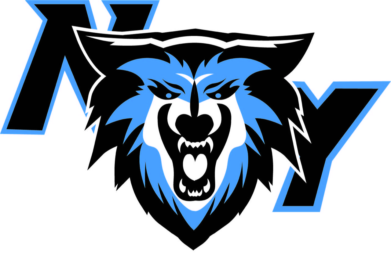 Women's Pro Football: A rivalry not renewed, but reborn